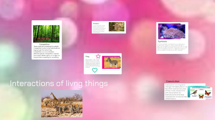 Interactions of Living Things by Nora Murray on Prezi