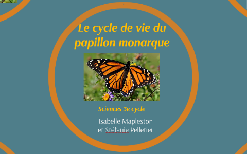 Le cycle de vie du papillon monarque by isabelle mapleston on Prezi