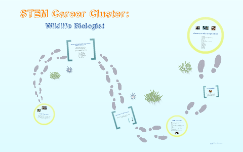 Wildlife Biologist: STEM Career Clusters by Isabelle Gillespie on Prezi
