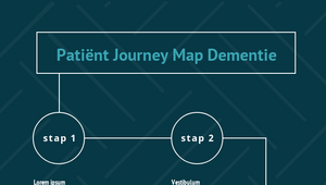 Patiënt Journey Map Dementie by Vince klijsen on Prezi Design