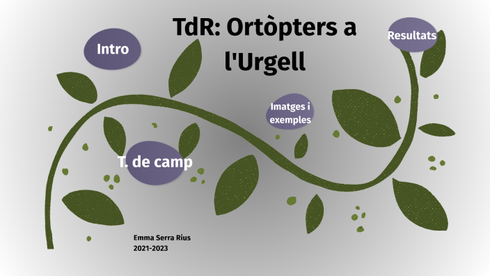 TdR: Ortròpters a l'Urgell by Emma Serra on Prezi