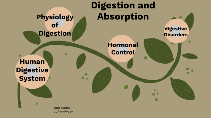 Human Physiology-Digestion and Absorption by Rajasree Rajan on Prezi