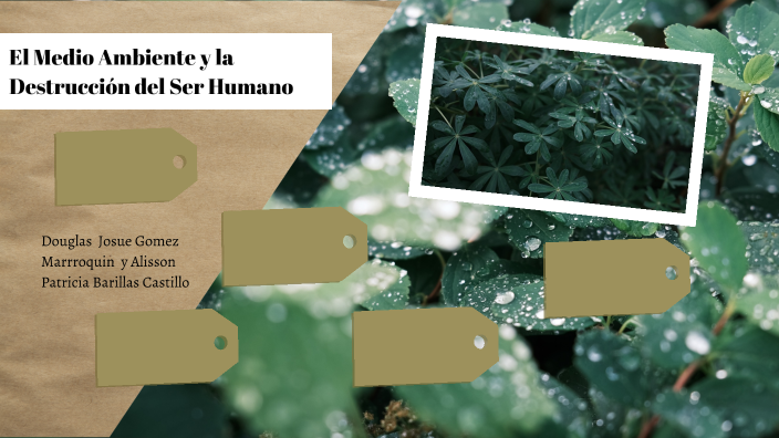 El Medio Ambiente y la Destrucción del Ser Humano by DOUGLAS JOSUÉ ...