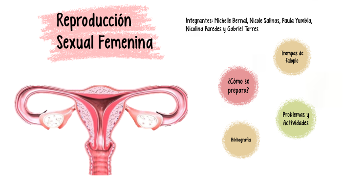 Reproducción Femenina by Nicol Salinas on Prezi