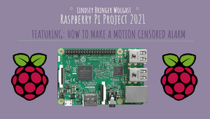 Lindsey Wolgast Rasp. Pi by lindsey wolgast on Prezi Design