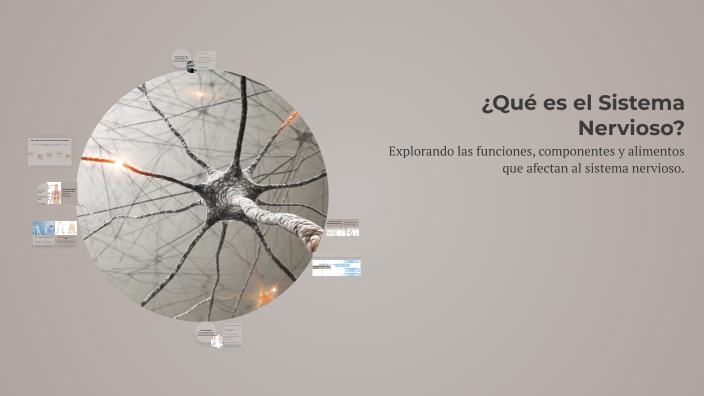 ¿Qué es el Sistema Nervioso? by DUVAN ANTONIO CASTRO BERMUDEZ on Prezi