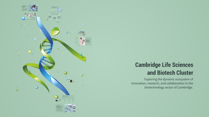 Cambridge Life Sciences and Biotech Cluster by Naida Zubcevic on Prezi