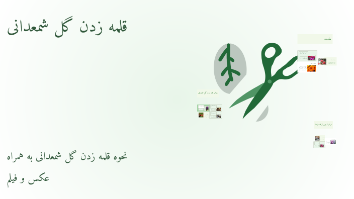 قلمه زدن گل شمعدانی by Fatemeh Ramezani on Prezi