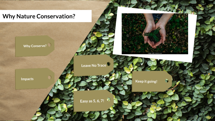 M5 Remediated Argument by Sydney Kerlin on Prezi
