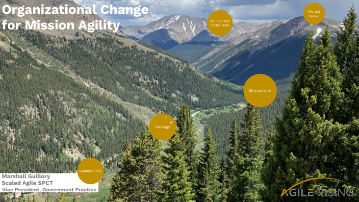 Organizational Change for Mission Agility in the Federal Government by ...