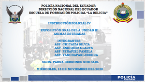 ANIMA RAYADA O ESTRIADA by Pamela Peñafiel on Prezi Design