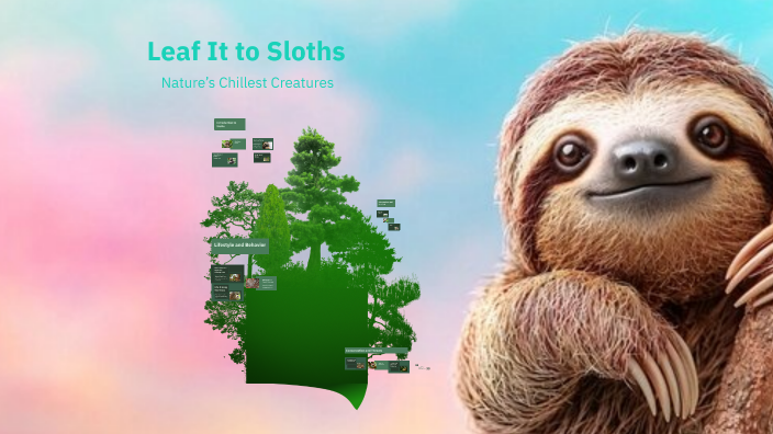 Leaf It to Sloths: Nature’s Chillest Creatures by Wei Chen on Prezi