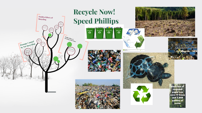 Recycling Project by on Prezi