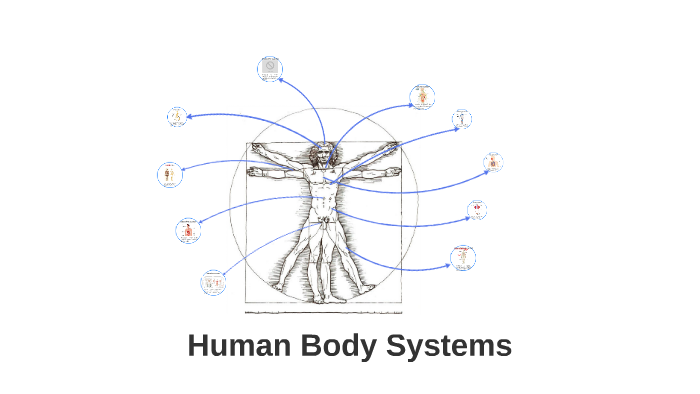 Human body systems: Overview by Davis Cortegana on Prezi