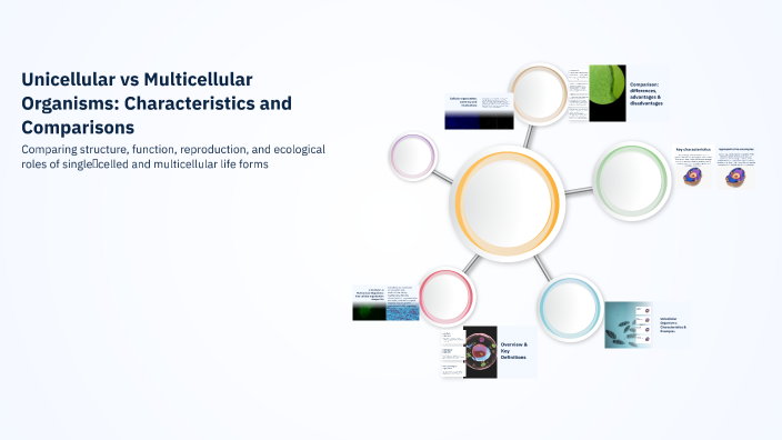 Unicellular vs Multicellular Organisms: Characteristics and Comparisons ...