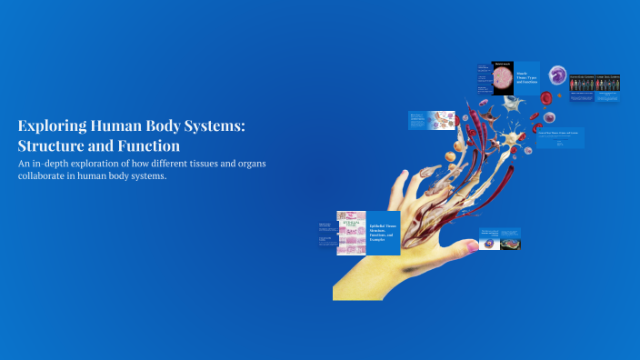 Exploring Human Body Systems: Structure and Function by vivaan badlani ...