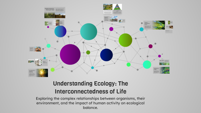Understanding Ecology: The Interconnectedness of Life by IVAN RANIERO ...