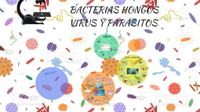 BACTERIAS HONGOS VIRUS Y PARÁSITOS by kathy charanchi on Prezi