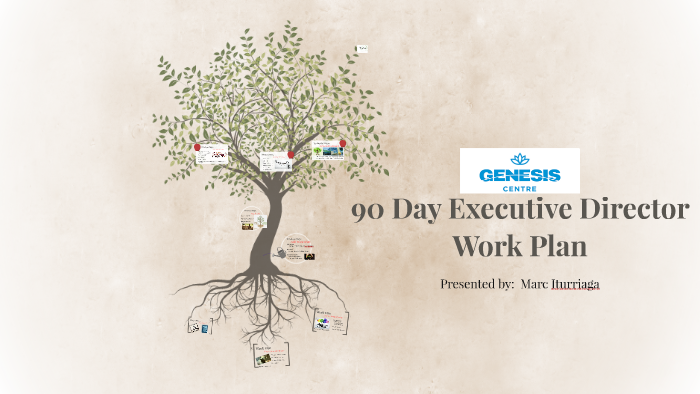 90 Day Executive Director Work Plan by Marc Iturriaga on Prezi
