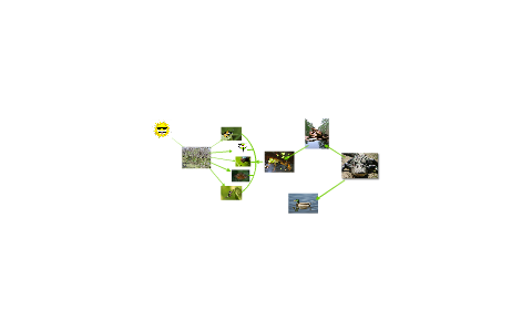Mission Avatar Food Web by Efren Portugal on Prezi