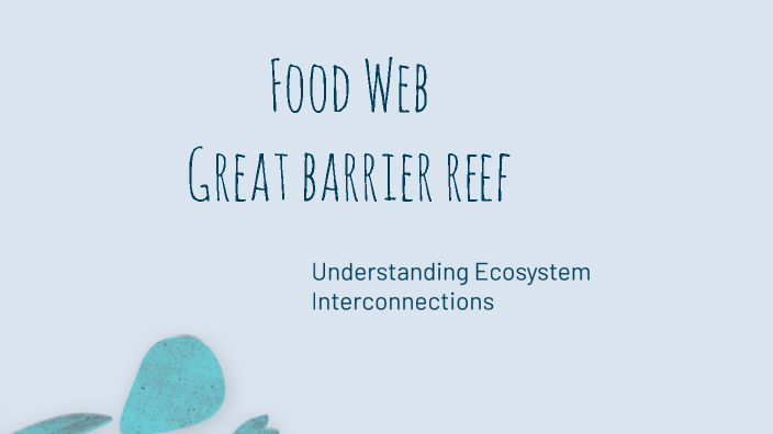 Food Web by Lily Healey on Prezi