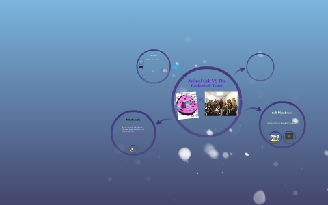 Animal Cell Vs Basketball Team by rebekah davis-warren on Prezi