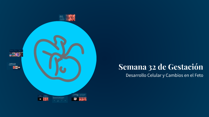 Semana 32 de Gestación by luis tovar on Prezi