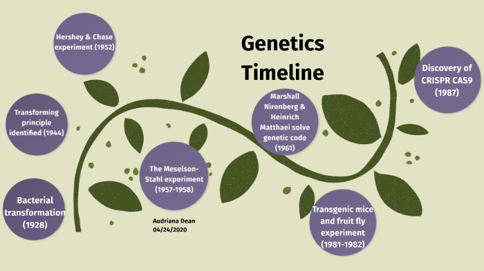 Genetics timeline by Audriana Dean on Prezi