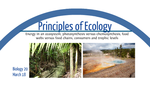 Biology 20 - Principles of Ecology by Miss Miles on Prezi