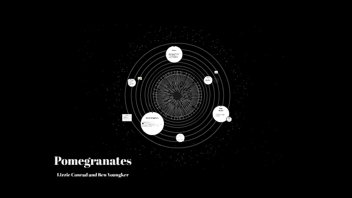 Pomegranates by Lizzie Conrad on Prezi