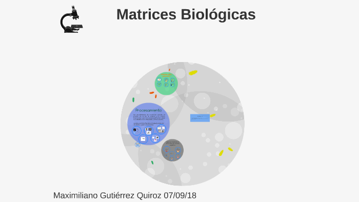 Matrices Biológicas by Matz Quiroz on Prezi