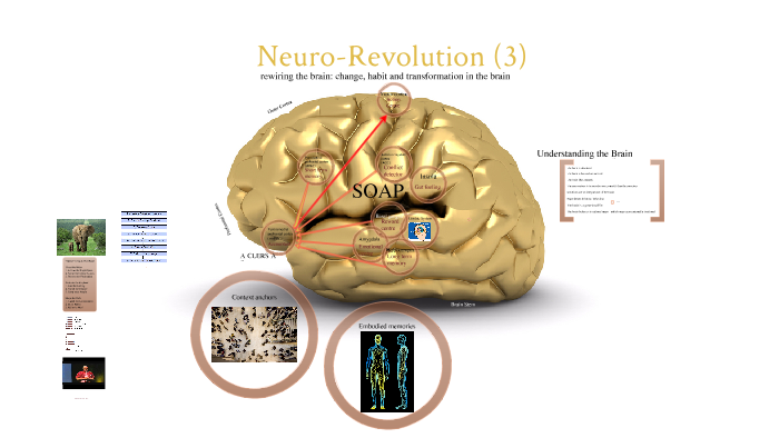 Neuro-Revolution (3) - rewiring the brain: change, habit and ...