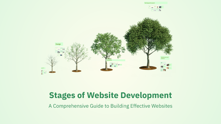 Stages of Website Development by 1 1 on Prezi