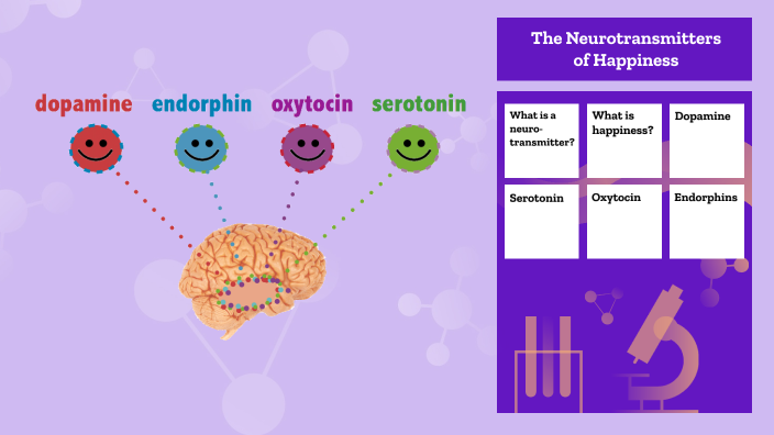 The Neurotransmitters of Happiness by Smaranda Turlete on Prezi