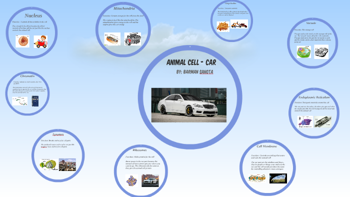 Animal Cell - Car by Barman Sahota on Prezi
