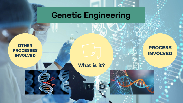 PROCESSES INVOLVED IN GENETIC ENGINEERING by Helaena Rea on Prezi