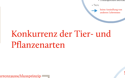 Konkurrenz der Tierarten by Noah Bossert on Prezi