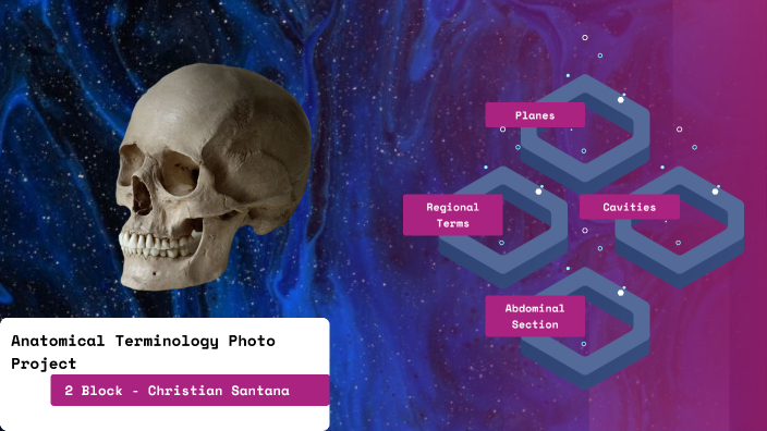 Anatomical Terminology Photo Project by Christian Santana on Prezi