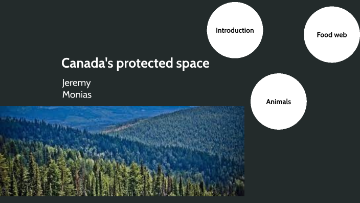 Boreal Food web by Jeremy Monias on Prezi