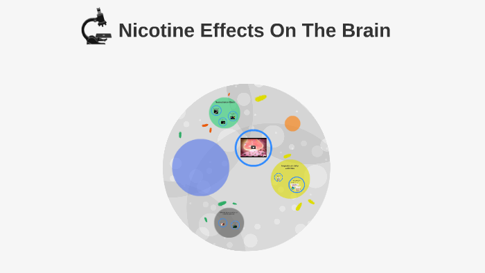 nicotine effects on the brain by Mira Unadkat on Prezi