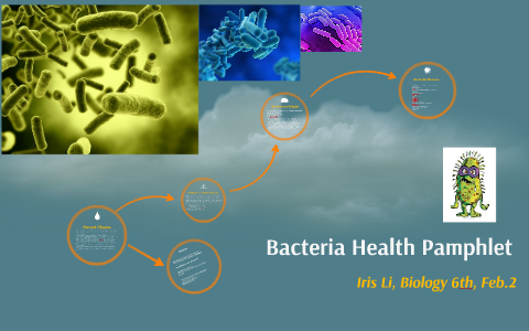 Bacteria Health Pamphlet by Iris Li on Prezi