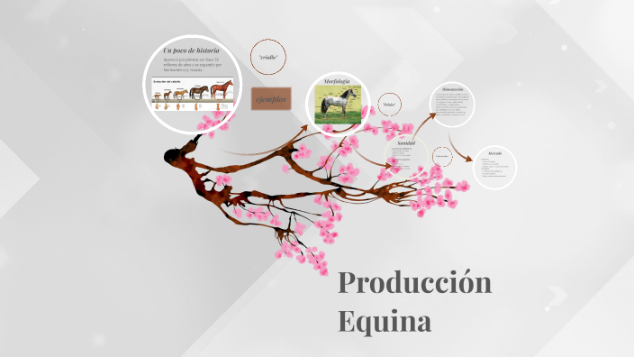 producción equina by brisa luna on Prezi