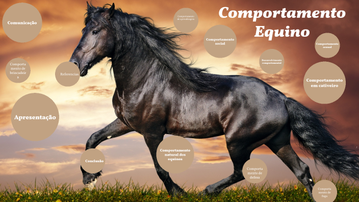 Comportamento dos Equinos by João Carlos Oselame on Prezi