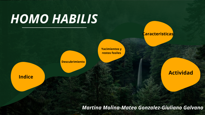 Homo habilis by martina Molina on Prezi