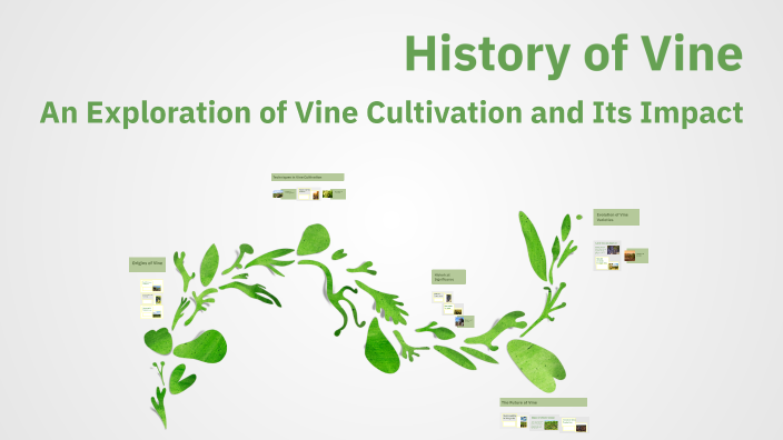 History of Vine by Elton Dutil on Prezi