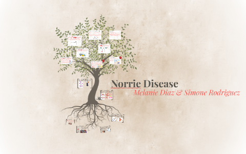 Norrie Disease by Melanie Diaz on Prezi