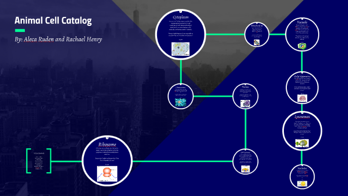 Animal Cell Catalog by Rachael H on Prezi
