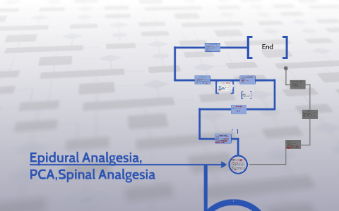 Epidural Analgesia, PCA,Spinal Analgesia by Corinne Rogers Rogers on Prezi