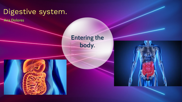digestive system. by ANA DOLORES on Prezi
