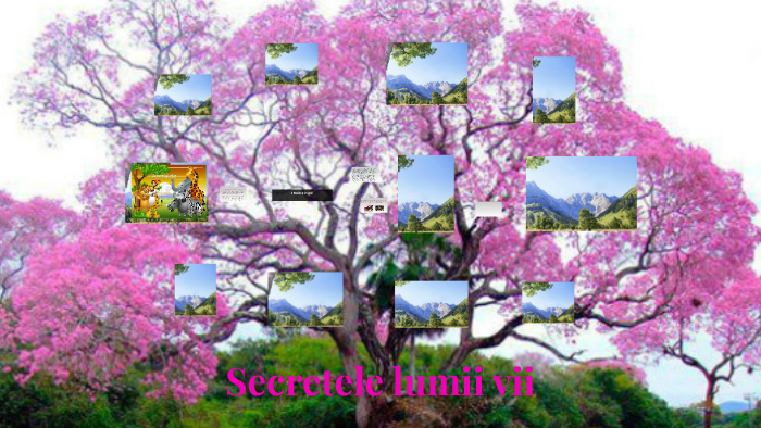 Secretele lumii vii by Alexandra Florea on Prezi